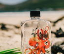 Art & Earth Friendly Bottled Water Brand - Yes! Definitely
